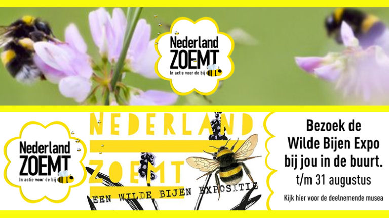Wilde Bijen Expo zoemt door het land - Rob van Kan - Media Consultancy